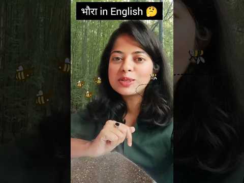 भौरा की English क्या होगी🤔|#shorts #english #vocabulary