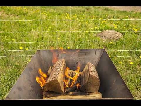 Tamarack Burning Sequence | Calgary Firewood For Sale | Timber Ridge Firewood
