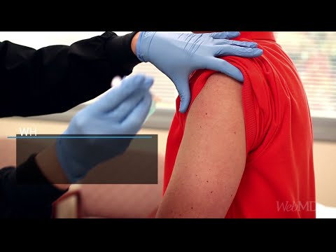 What Is Herd Immunity? | WebMD