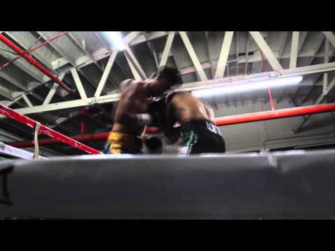 Campeonato Estatal Pluma por AS Boxing – Mas Noticias Digital