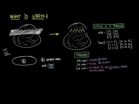 Biomechanics | What is stress?