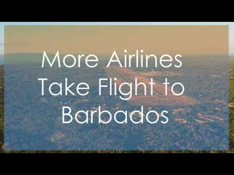 Delta Air Lines Expands Flights to Barbados! ✈️🌴