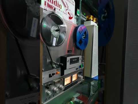 Tes băng 7 Scotch+ Đầu cối Sony -TC 7660+