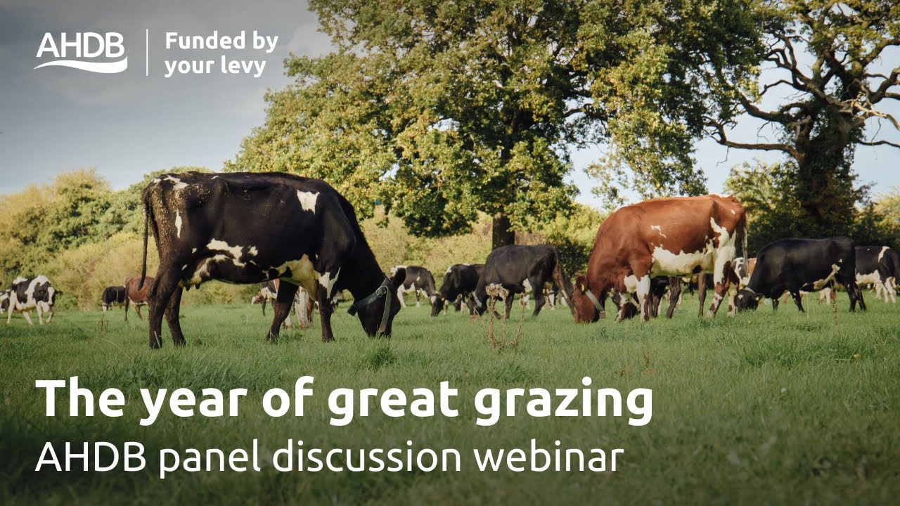 The year of great grazing | AHDB Webinar