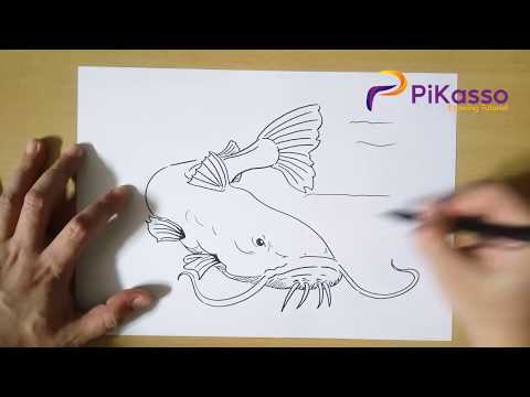 How to Draw Catfish step by step