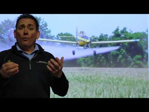 Facts About Tar Spot – A Growing Concern for Corn Farmers