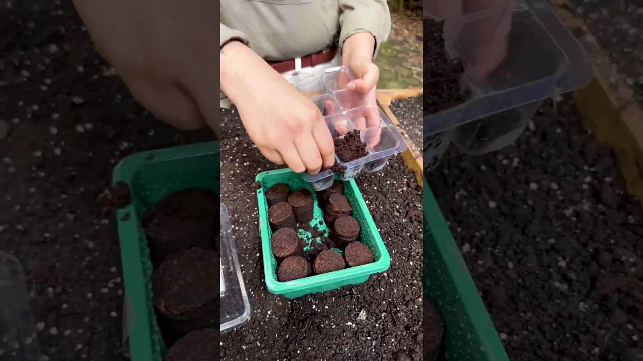 “Your garden, wherever and whenever you want 🌱. This is our GO Garden in action.”