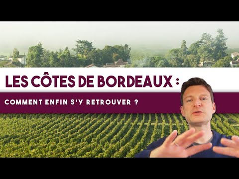 Comment s'y retrouver enfin dans les Côtes de BORDEAUX ? (Leçon n°156)