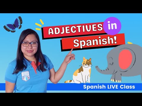 Live Spanish Class: Adjectives in Spanish.