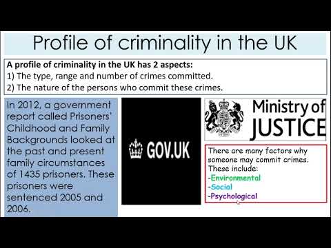 P2, R&R: S10: What is the profile of criminality in the UK?