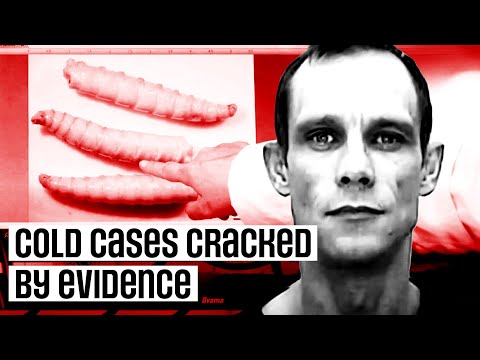 How A Blowfly Larvae Cracked a Decades-Long Murder Mystery | 3 Incredible Cold Cases Marathon