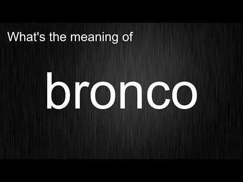 What's the meaning of "bronco", How to pronounce bronco?