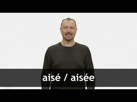 English Translation of “AISÉ” | Collins French-English Dictionary