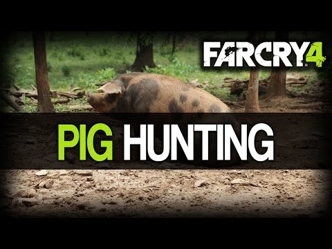 Steam Community :: Video :: Far Cry 4 - Pig Hunting (Where to Find Pigs ...