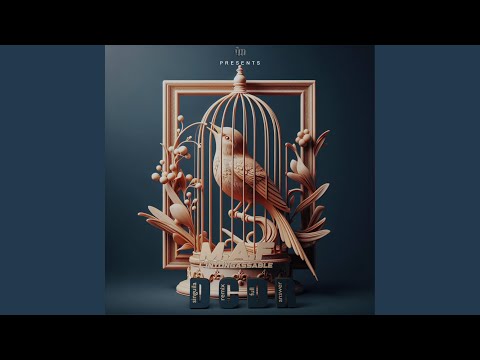 DCDR Full Answer (M.A.F L'intongassable Remix)
