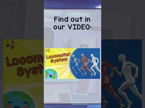 Locomotor System for kids #shorts