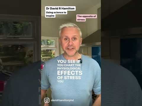 What is the opposite of stress?