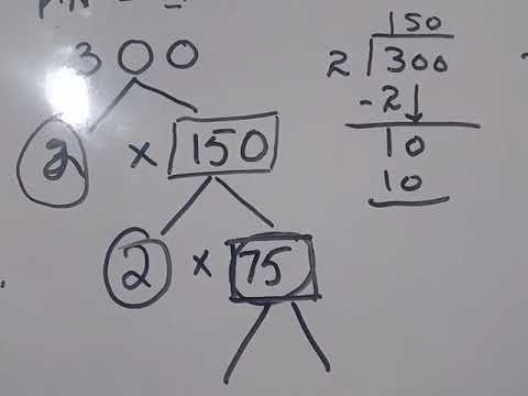 What are Prime factors of 300 using factor tree method in hindi | What are the factors of 300