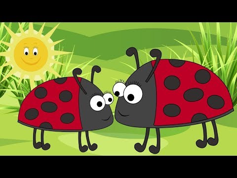 Ladybird Ladybird, Fly Away Home! Nursery Rhyme for Babies and Toddlers from Sing and Learn