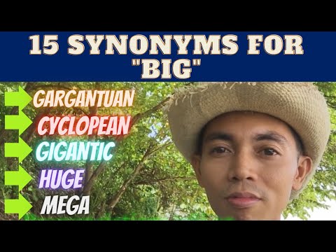 15 SYNONYMS for "BIG"