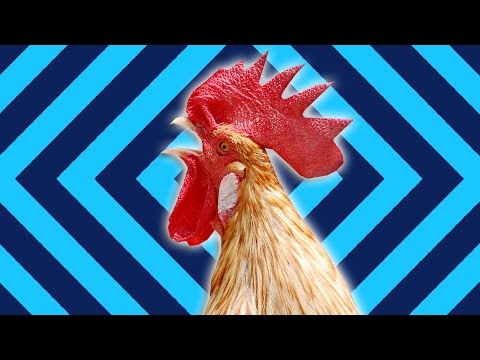 MORE World's WEIRDEST Science Studies | BRITLAB