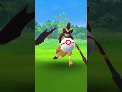 I can’t catch this Pokémon unless it’s shiny