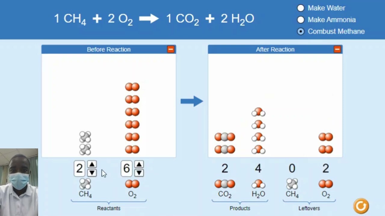Reactants, Products, and Leftovers Simulation | Science Experiment | Virtual Lab Simulation