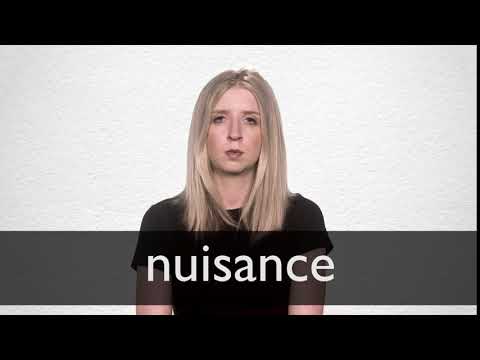 How to pronounce NUISANCE in British English