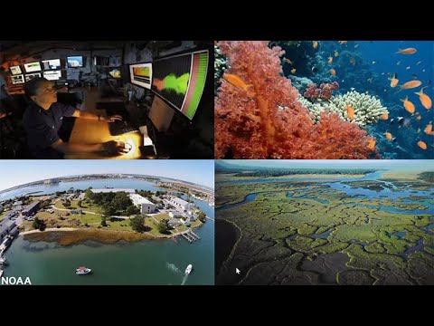 The State of the Pacific Ocean