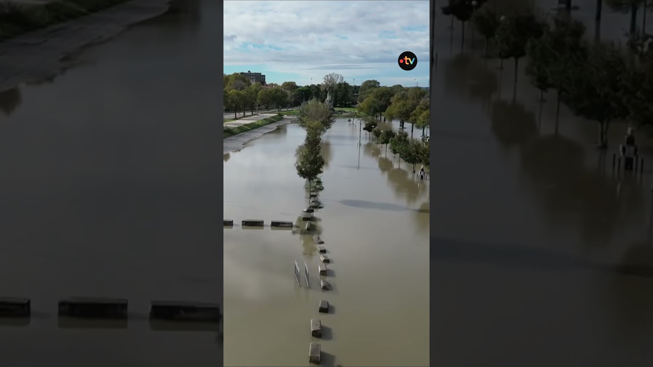 Surveillance des crues et inondations dans le Vaucluse : le Rhône ...