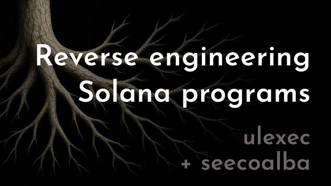Reverse Engineering Solana Programs |  ulexec + seecoalba