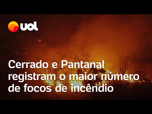 Incêndios no Pantanal: imagens mostram maior queimada em 36 anos
