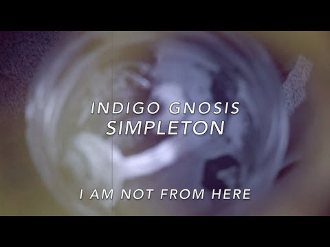Indigo Gnosis - Simpleton (Official Music Video)