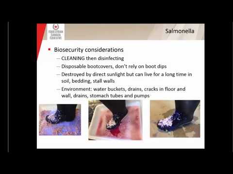 Veterinarian Biosecurity Webinar
