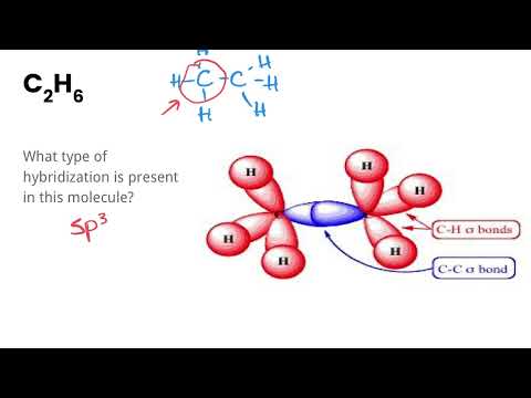 Sigma and Pi Bonds | An Introduction