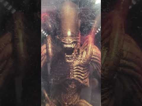 Steam Community :: Video :: 🔸Spin Around🔸💥👀Alien Resurrection Xenomorph ...