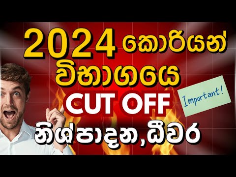 2024 කොරියන් විභාගයෙ CUT OFF | 2024 EPS-TOPIK Cut Off Marks Sinhala | Full Explanation 🇰🇷