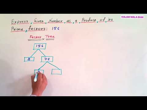 Factor Tree 🌲 of 156 Real Number Class 10th CBSE