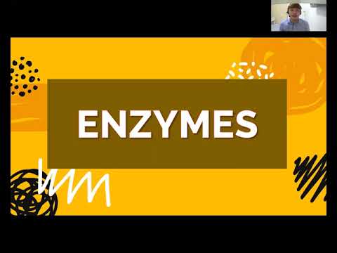 What is ENZYME?