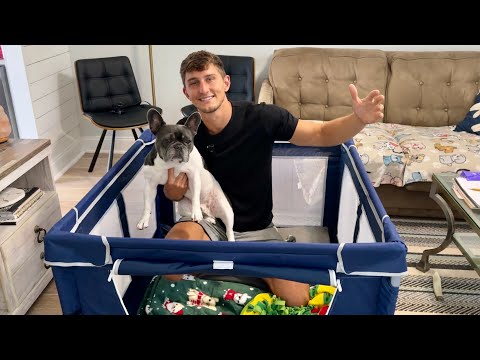 The Perfect Dog Playpen I Found On Amazon!