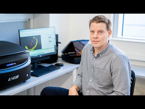 Meet Dr. Scott Johnstone, a cardiovascular investigator at the Fralin Biomedical Research Institute