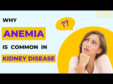 Why Iron Deficiency Anemia Is Common In Kidney Disease | Can Anemia Caused By Kidney Disease