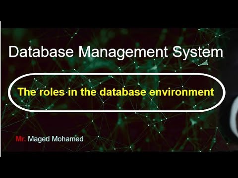 The roles in the database environment