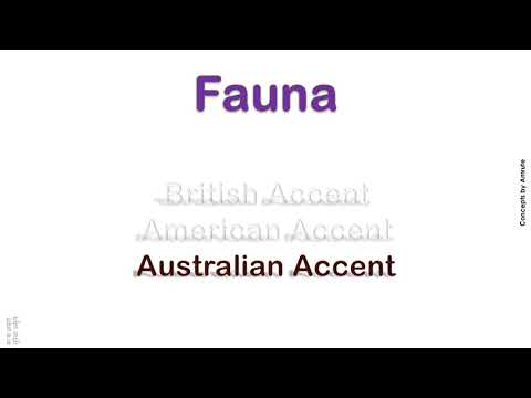 Fauna How to Pronounce Fauna in Australian Accent, British Accent, American Accent ?
