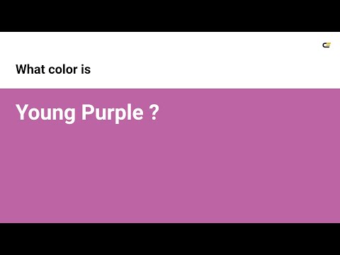 Young Purple color #bc64a4 hex color - Violet color - Cool color bc64a4