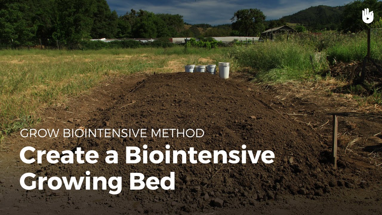 Biointensive growing bed - Small-Scale Sustainable Agriculture | Sikana