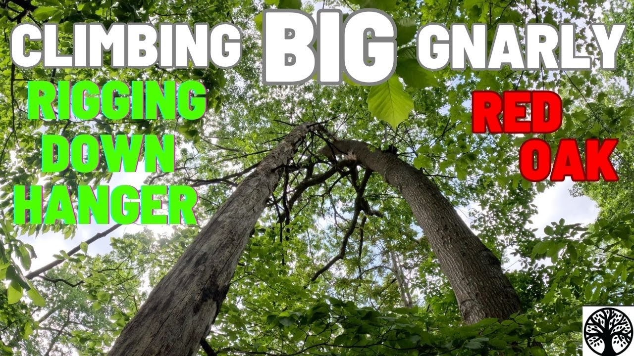 RIGGING DOWN HANGER TREE