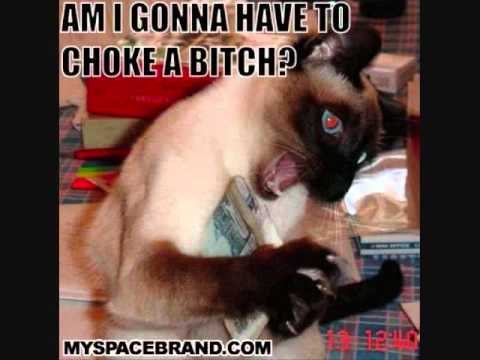 Funny Pictures of Animals