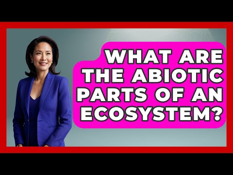 What Are The Abiotic Parts Of An Ecosystem? - Biology For Everyone
