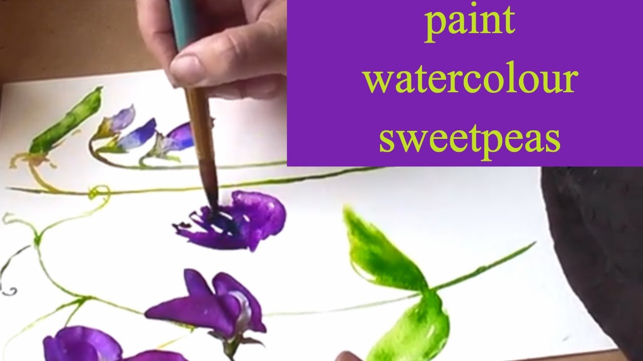 How to paint a Sweet Pea⎮Watercolour Beautiful - Botanical Painting